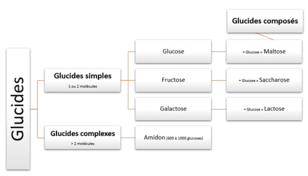 Sucre et sucrants : quel impact sur la santé ? - Manger Santé